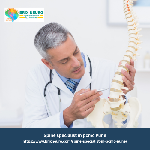 spine specialist in Pimpri Chinchwad Pune - BRIX NEURO SPINE CENTER